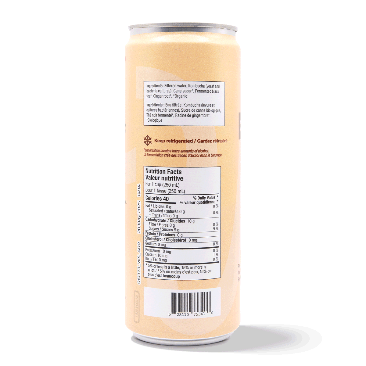 Kombucha - Ginger (6 Cans) – Booch Organic Kombucha