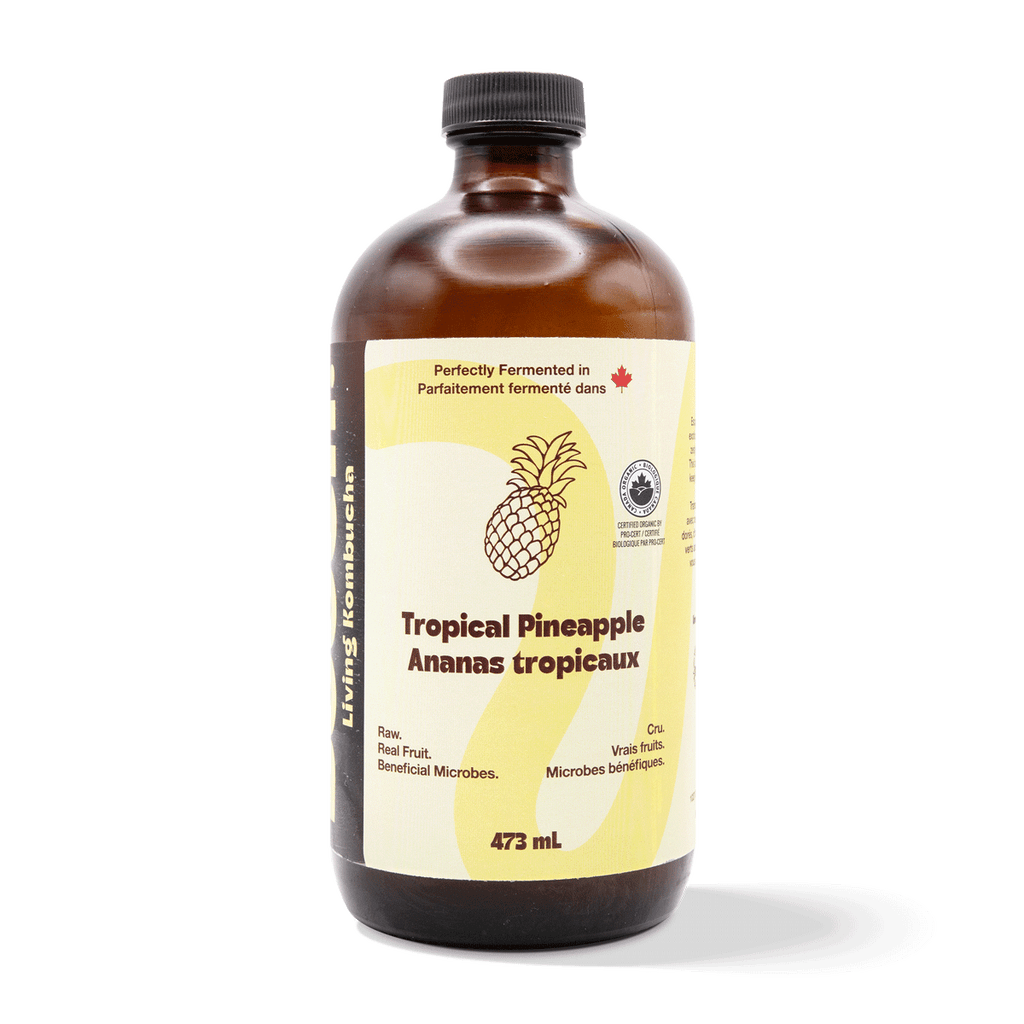 Shop All – Booch Organic Kombucha