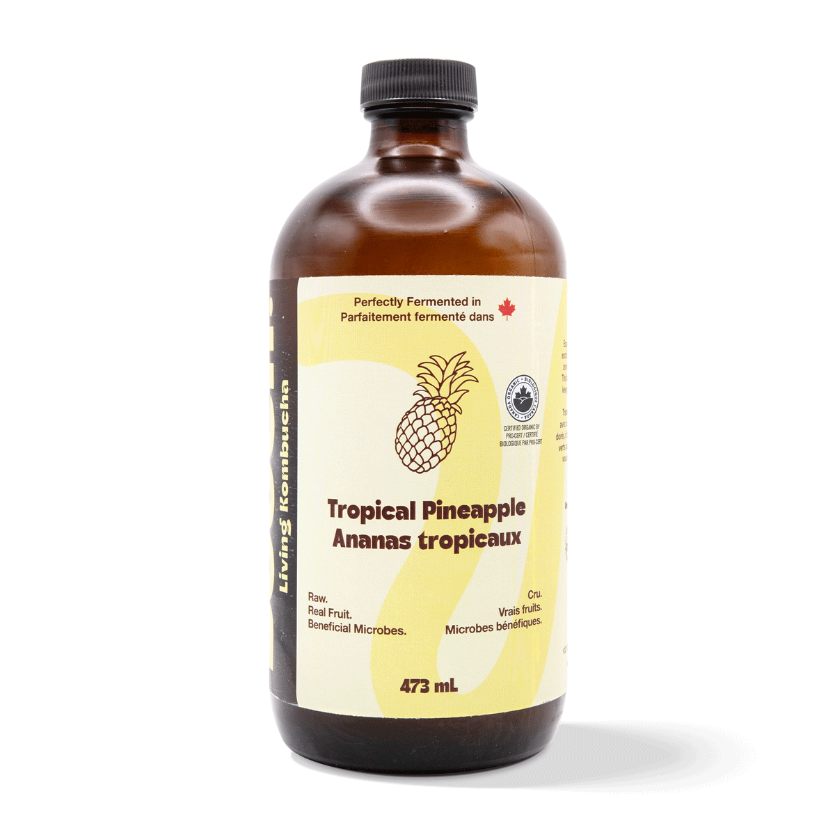 Shop All – Booch Organic Kombucha