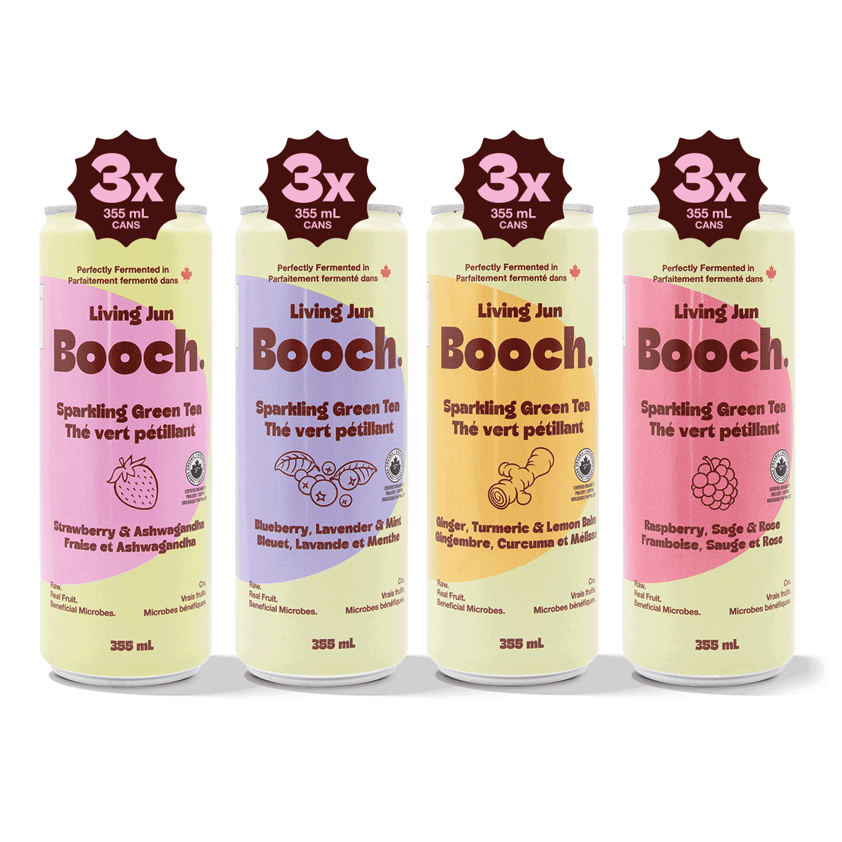 The Sparkling Green Tea Edit - Variety Pack (12 Cans) – Booch Organic ...