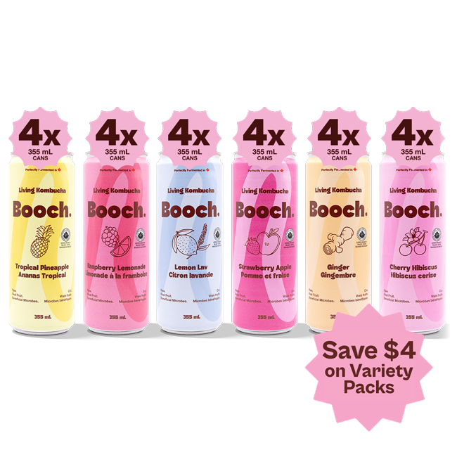 Kombucha - The Complete Booch Collection (24 Cans) – Booch Organic Kombucha